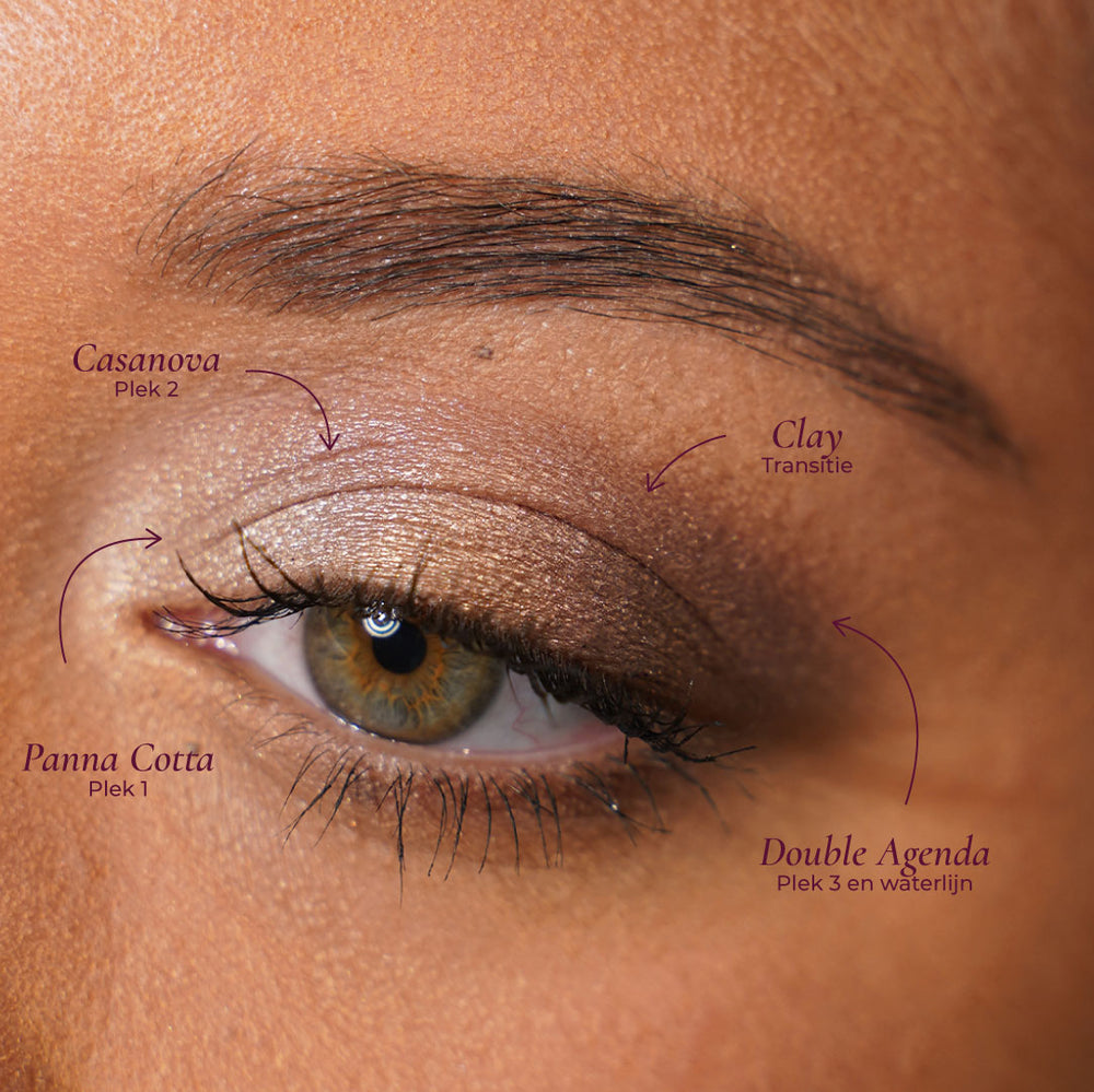 Pressed Eyeshadow Set - Run your Own Agenda – L’OYÉ Cosmetics